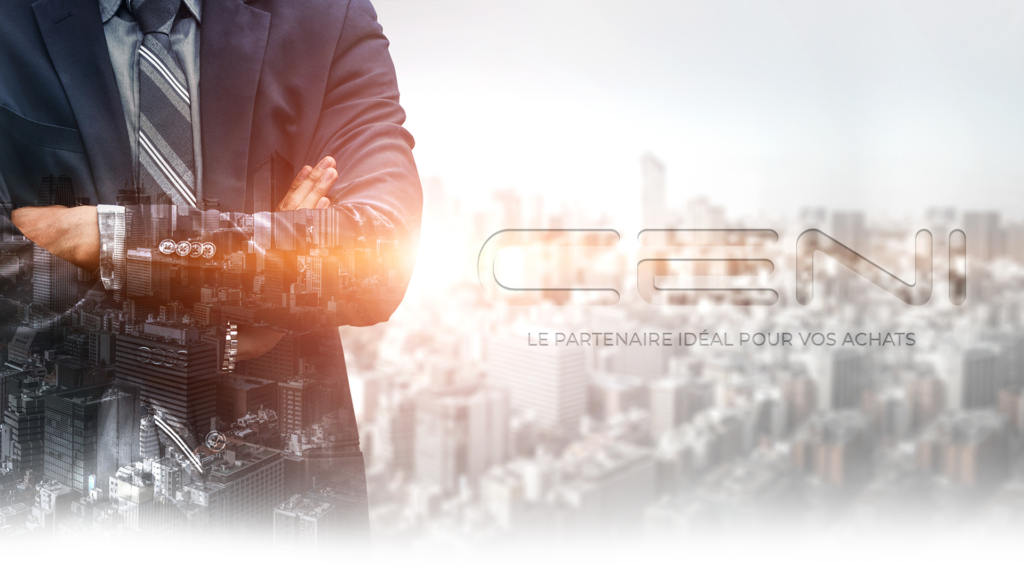 Qui Sommes-Nous – CENI LIMITEE
